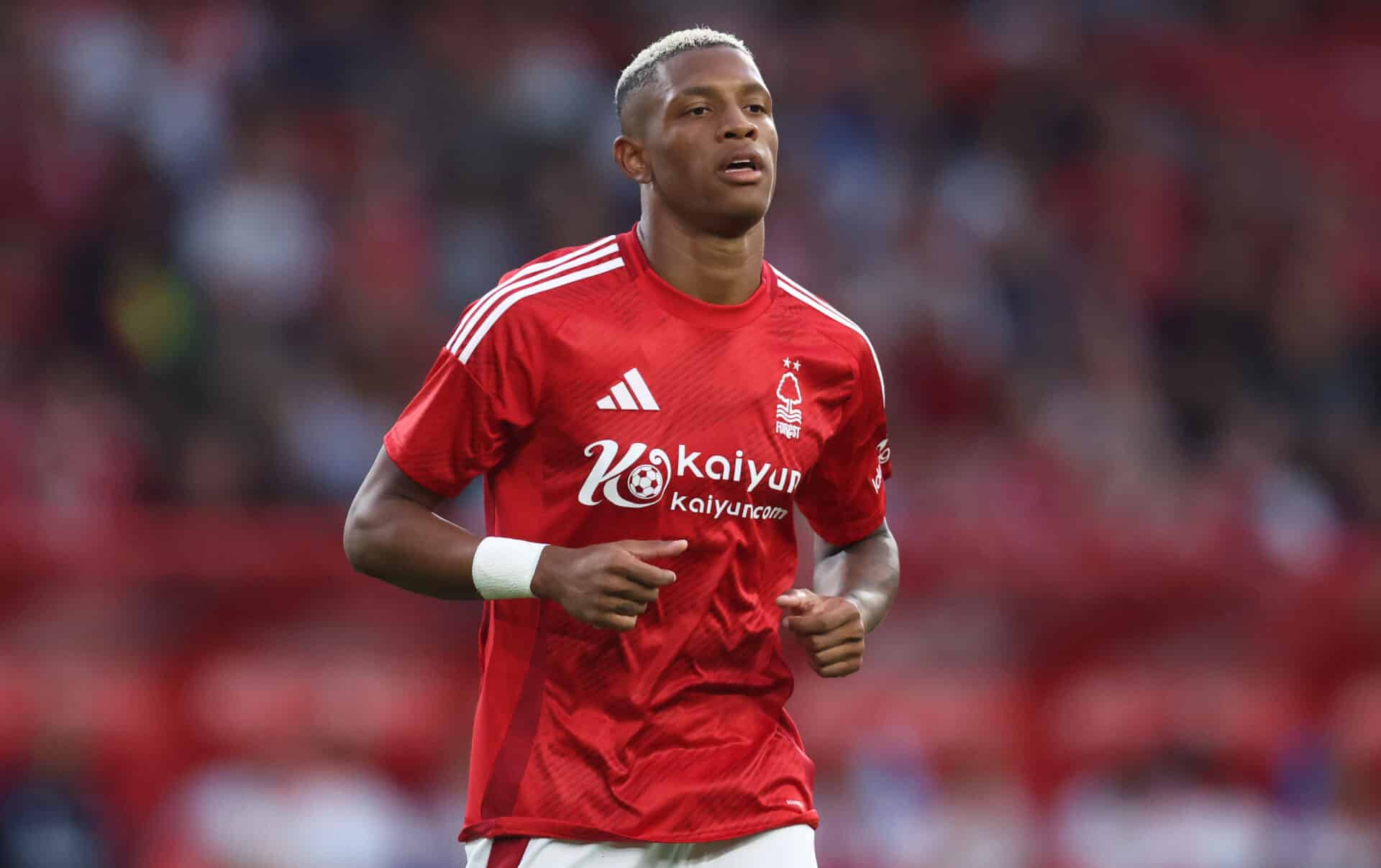 Nottingham Forest – Premier League Season Preview 2024/25