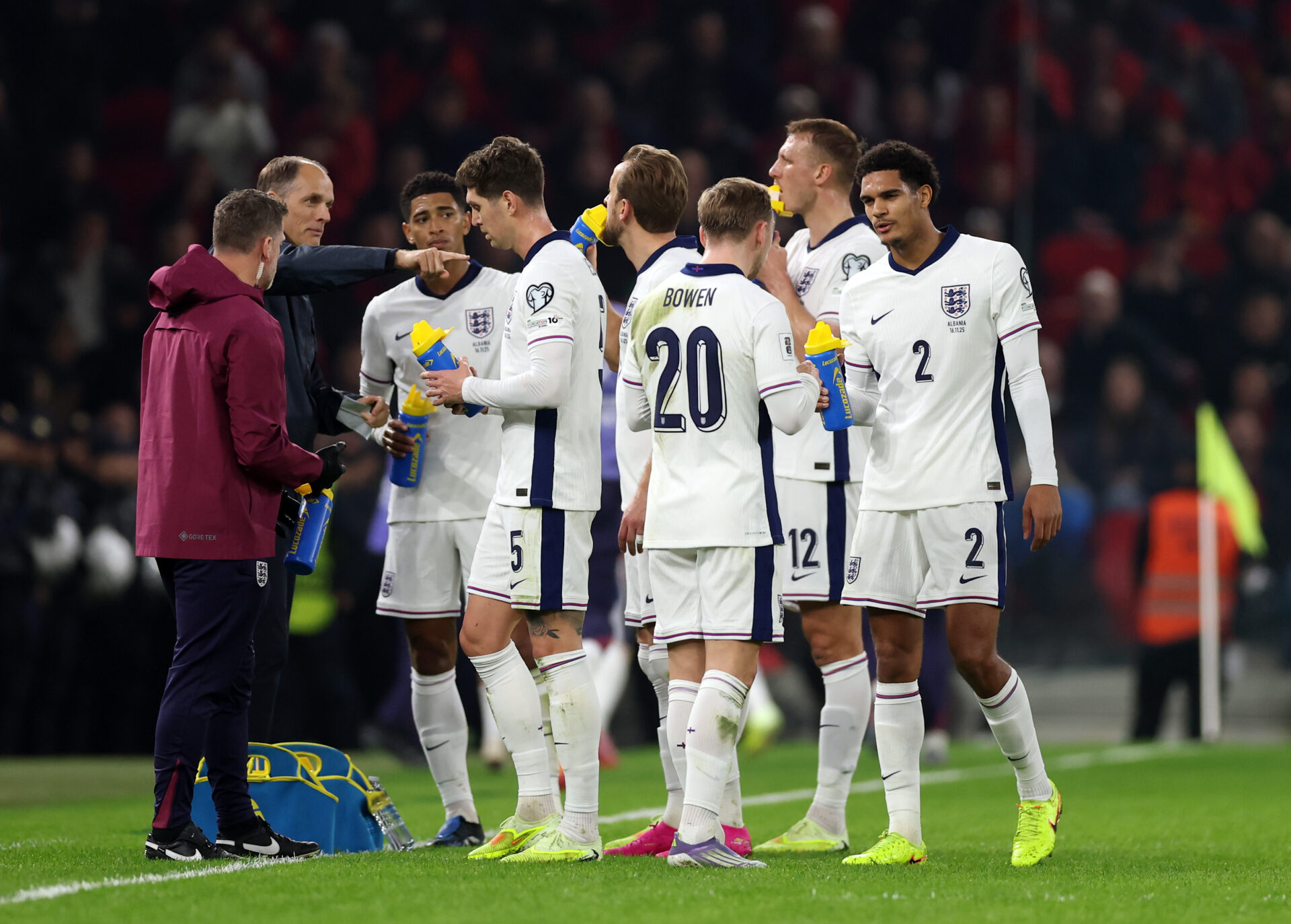 England Player Ratings vs Albania: Kane Stars with a brace