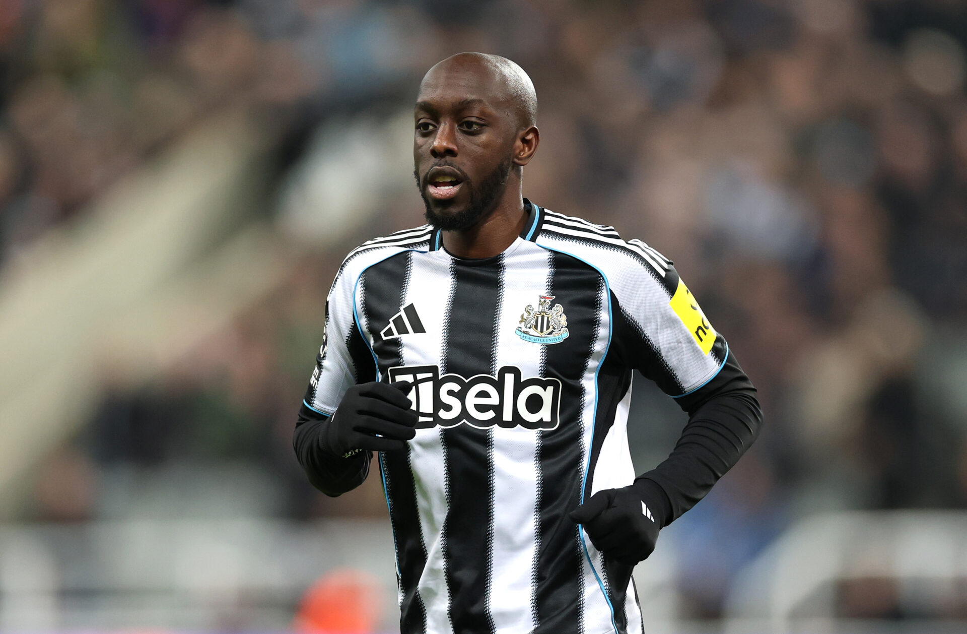 Newcastle vs Fulham – Match preview and team news